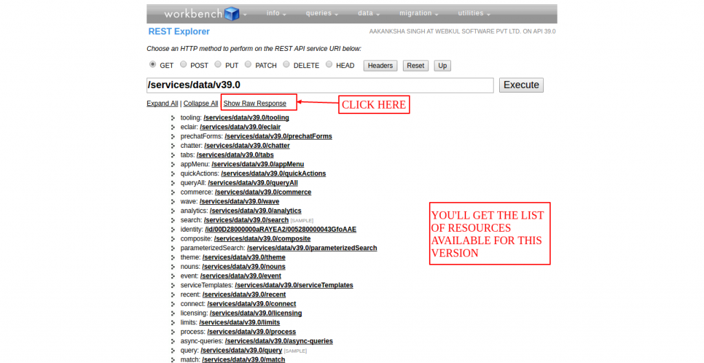 How To Run Rest Api Through Workbench Salesforce