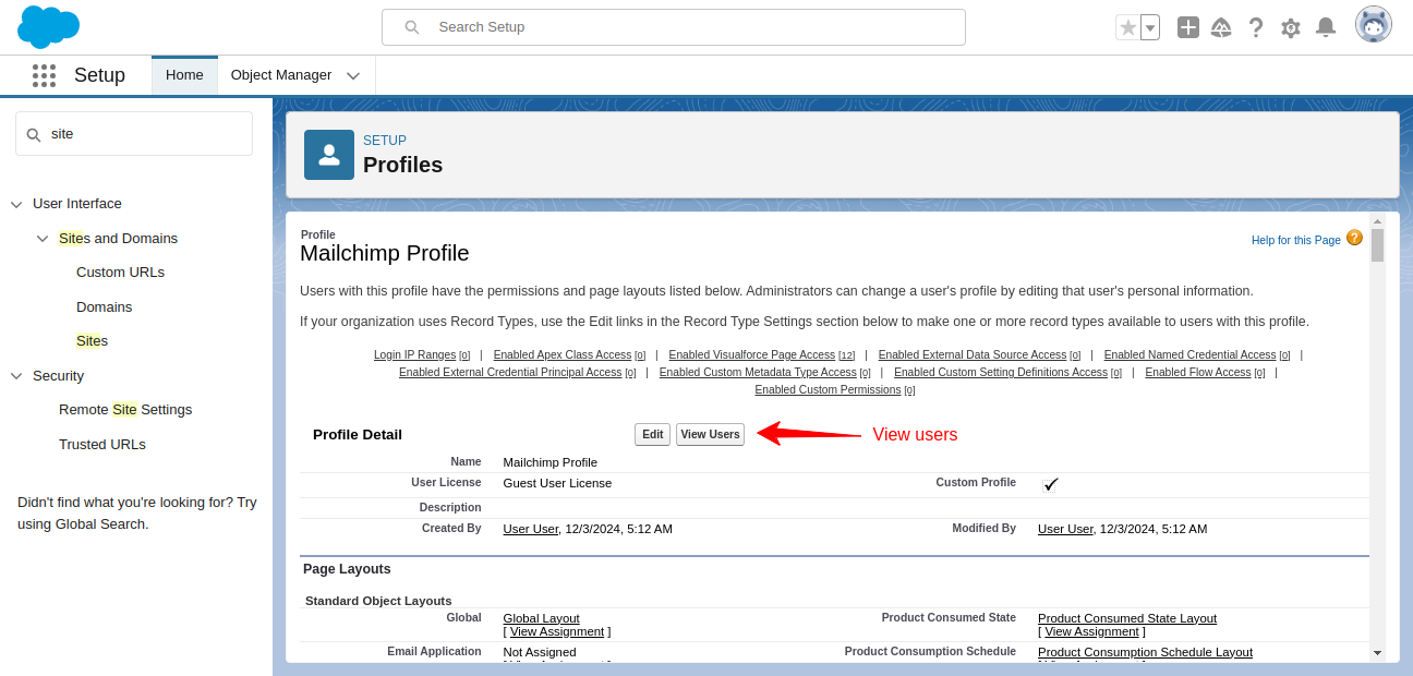 Mailchimp Salesforce Integration and Connector | Email Marketing