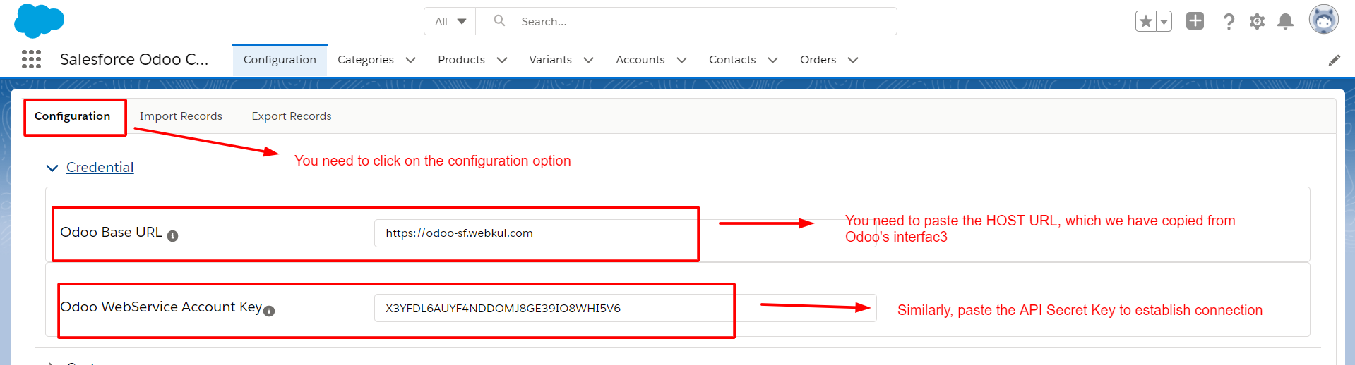 eShopSync for Odoo - Odoo & Salesforce Connector - eShopSync
